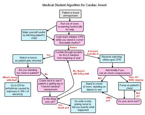 Medical Student Algorithm For Cardiac Arrest Faculty Of Medicine