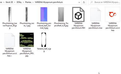 Assets Import Fbx Models D5 Asset Library D5 Render Forum