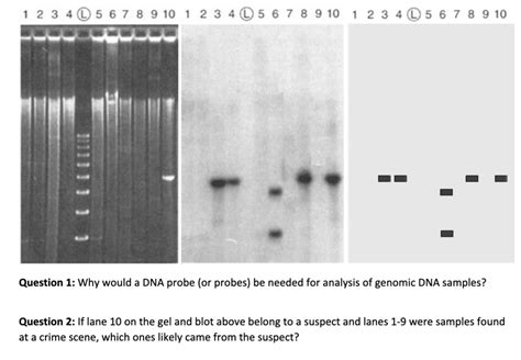 Solved 1 2 3 4 5 6 7 8 9 10 1 2 3 4 5 6 7 8 9 10 1 2 3 4 5 6 Chegg Com