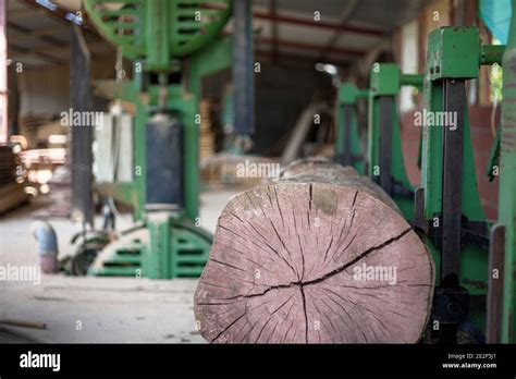 Factory Where A Huge Thick Log Is About To Be Split Into Small Pieces By Huge Industrial Machine