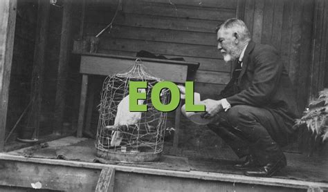 EOL Meaning Slang Org