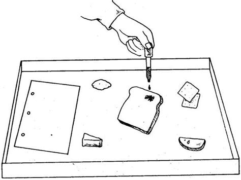 Looking For Starch Chemistry Experiments Sawan Books