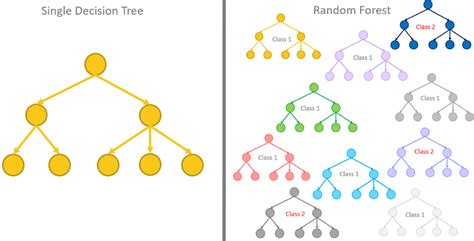 Two Different Types Of Tree Diagrams One Showing The Single Decision