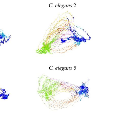 C Elegans Neural Activity In The Pca Space Of The First Two Modes Download Scientific