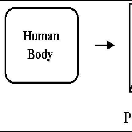 Block Diagram Showing The Concept Of System Approach Download Scientific Diagram