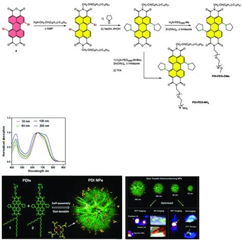 Synthesis Of The Amphiphilic And Zwitterionic Pdi Derivative Download Scientific Diagram