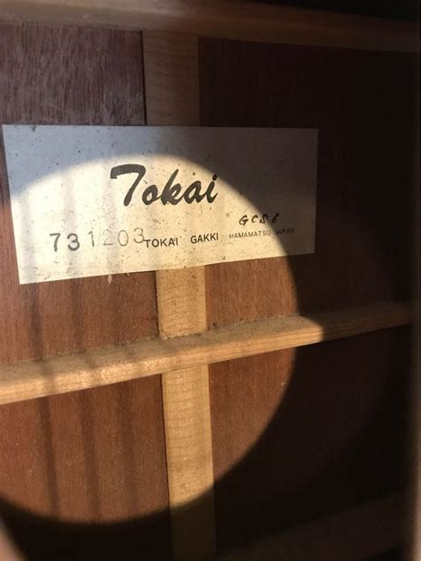 Can Someone Identify This Tokai Model And Age R Acousticguitar