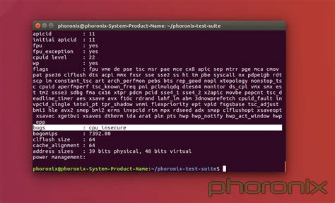 Phoronix Initial Benchmarks Of The Performance Impact Resulting From Linuxs X86 Security