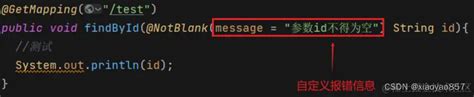 都 JDK17 了还不会优雅判空 jakarta validation constraints notnull CSDN博客