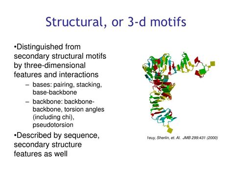 Ppt Organization Of Rna Structural Motifs Lessons From Scor