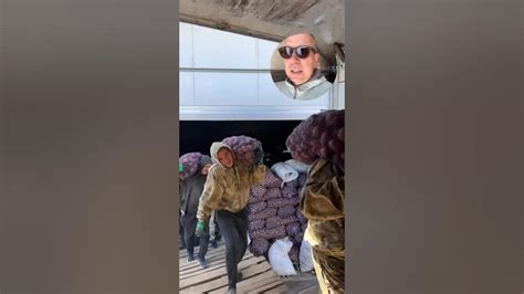 Купить картофель в Крыму оптом Морковь свёкла капуста лук опт овощи 7978 977 77 88 Олег