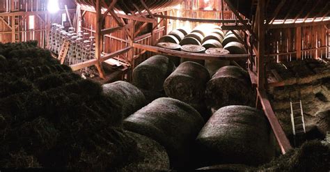 Hillcrest Farms Equine Sanctuary Home Facebook