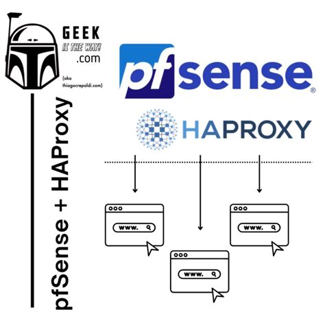 How To Host Multiple Domains Using Haproxy As Reverse Proxy On Pfsense Geek Is The Way