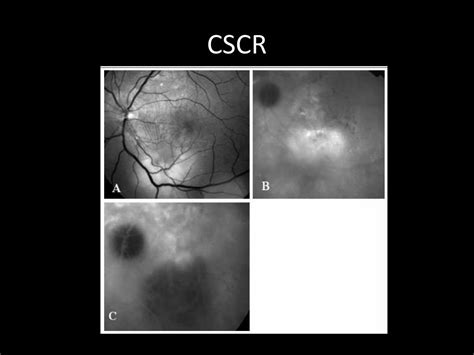 Ppt Ffa Powerpoint Presentation Free Download Id 3619279