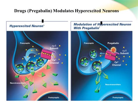 Pregabalin Mechanism Side Effect And Uses 58 OFF