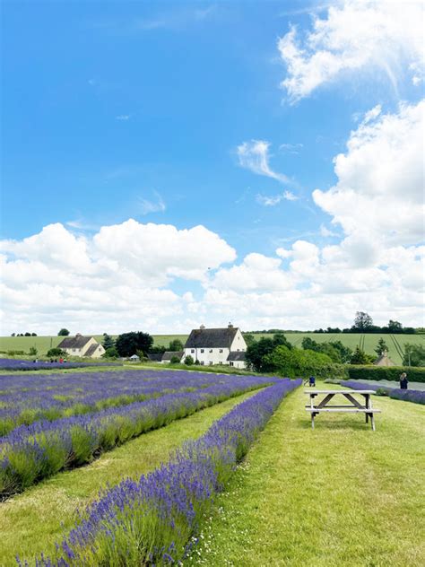 런던 옥스포드 런던소풍옥코투어 옥스퍼드코츠월드투어 역사와 자연이 어우러진 매혹적인 여정 마이리얼트립