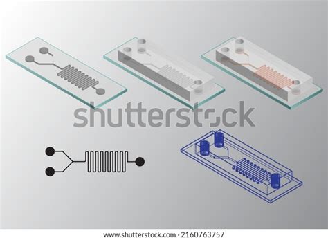 Microfluidic Chip Rapid Sample Analysis Over 14 Royalty Free