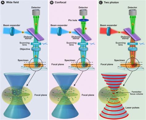 Microscopy Synchrotron Research Institute