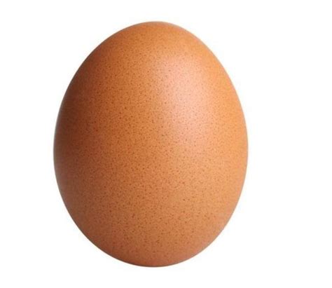 Certified Egg Moment Reggwick