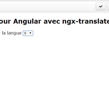 Angular Translation Module Angular Script