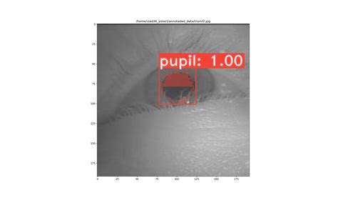 Can T Save The Prediced Mask And Box Issue Dbolya Yolact GitHub