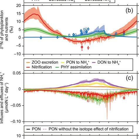 A Simulated Seasonal Cycles Of The Assimilation Ratio Of Ammonium To Download Scientific