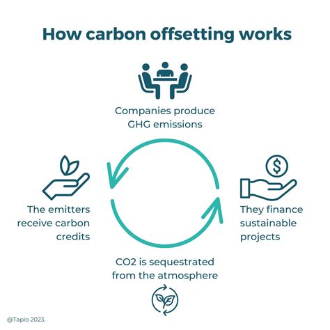 Carbon Reduction Vs Carbon Offsets What Should I Choose For My Business Tapio