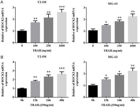Figure S4 A U2 Os And Mg 63 Cells Were Incubated With Different Doses