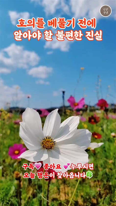 자존감결핍 자기사랑 심리건강 🔍 미안해가 입버릇이신가요 자존감 결핍의 10가지 신호 타인에게 지나치게 맞추고 실수를 용서하지 못하고 진짜 모습을 숨기는 건