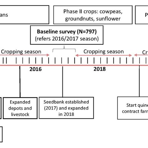 Timeline Of Project Intervention And Survey Implementation Download Scientific Diagram