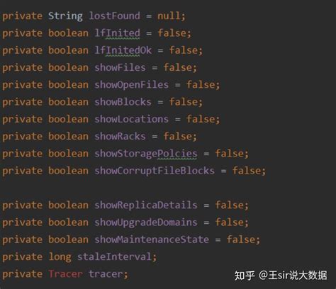 【知识讲解篇 17】hdfs块检查命令fsck 详解 hdfs fsck csdn博客