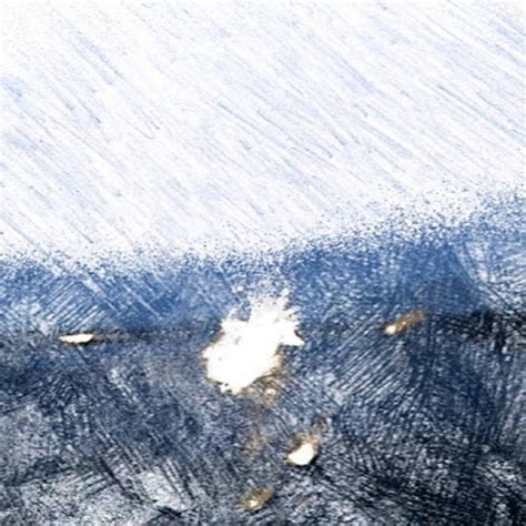 Entity Youtube Music