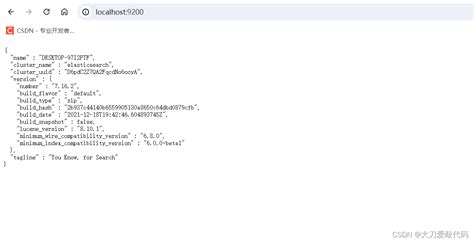 Es（elasticsearch）的基本使用 Csdn博客
