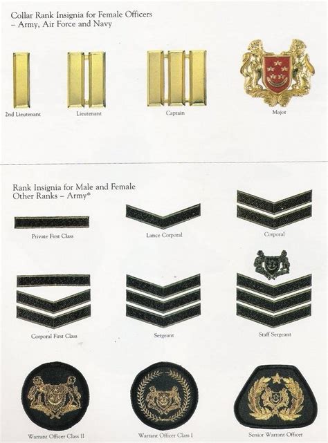 Insignia Awards And Decorations Of The Singapore Armed Forces South
