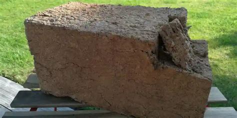 Peat Moss An Excellent Soil Amendment And Why I Do Not Use It Anymore Matt Magnusson