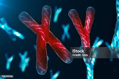 Xy 염색체 Dna의 감염 바이러스 또는 감염은 몸에 침투 합니다 남성 염색체 유전자 코드를 운반 하는 Dna를 가진 염색체 생물학적 수준에서 유전 코드를 변경 3d