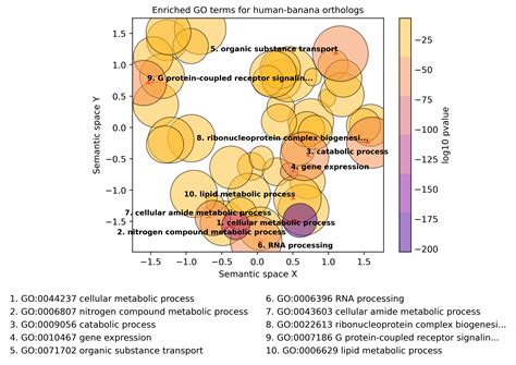 The Banana Conjecture Open Reading Frame Dessimoz Lab