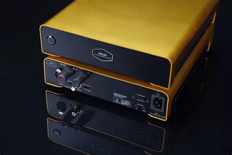 Purifi Eigentakt 1et6525sa M Monoblock Amplifier