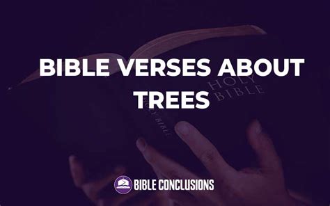 Powerful Bible Verses About Trees With Commentary Bibleconclusions Com