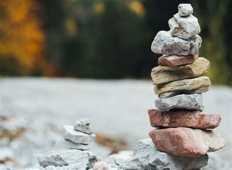 성공 창업자들의 비밀 경험담과 사례 분석