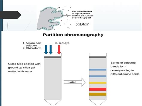 Adsorption And Partition Column Chromatography Pptx