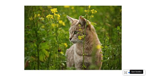 React Scaleable Samples Codesandbox