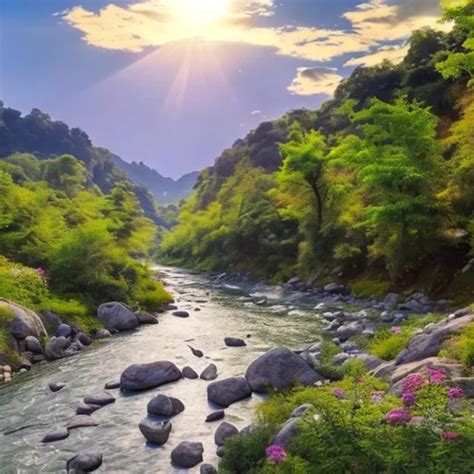 A Beautiful Scenery With Natural Flowers Surrounding
