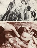 Suzanne Fields Page Vintage Erotica Forums