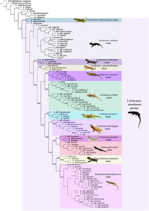 Mixed Bayesian Hypothesis Download Scientific Diagram