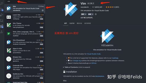 Vscode 中使用vim 极简版 知乎