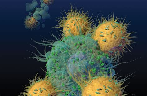 Immunotherapy Side Effects Risks And Benefits