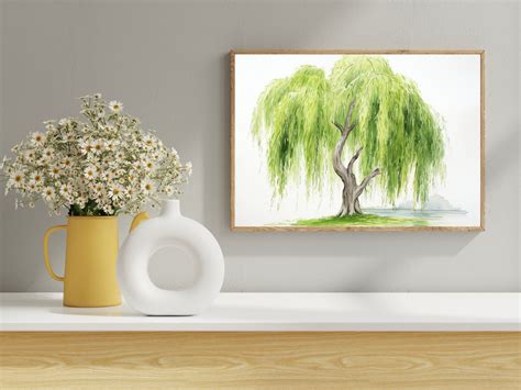 Willow Tree Watercolor Art Weeping Willow Tree Botanical Art