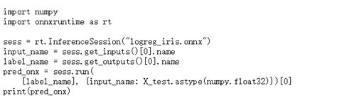 Onnxruntime调用ai模型的python和c编程ortiobinding Csdn博客