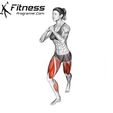 Daily Exercise Workout Routine Created By Kimia Patpar